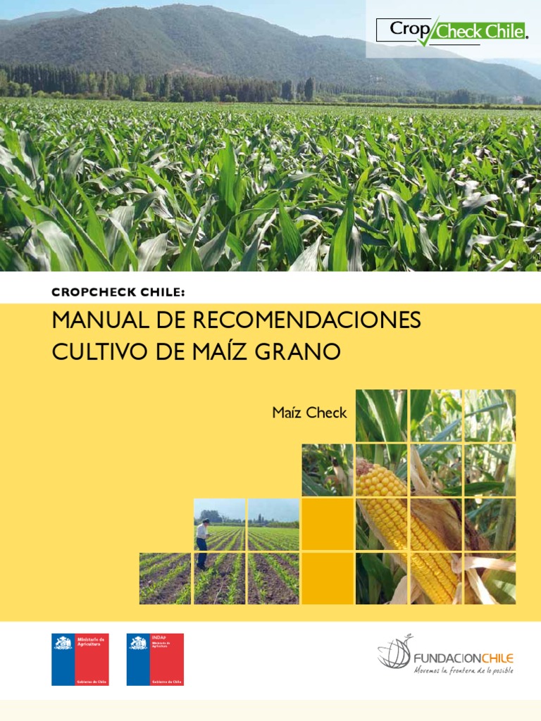Manual de Recomendaciones Cultivo de Maiz Grano CropCheck | PDF | Siembra | Suelo