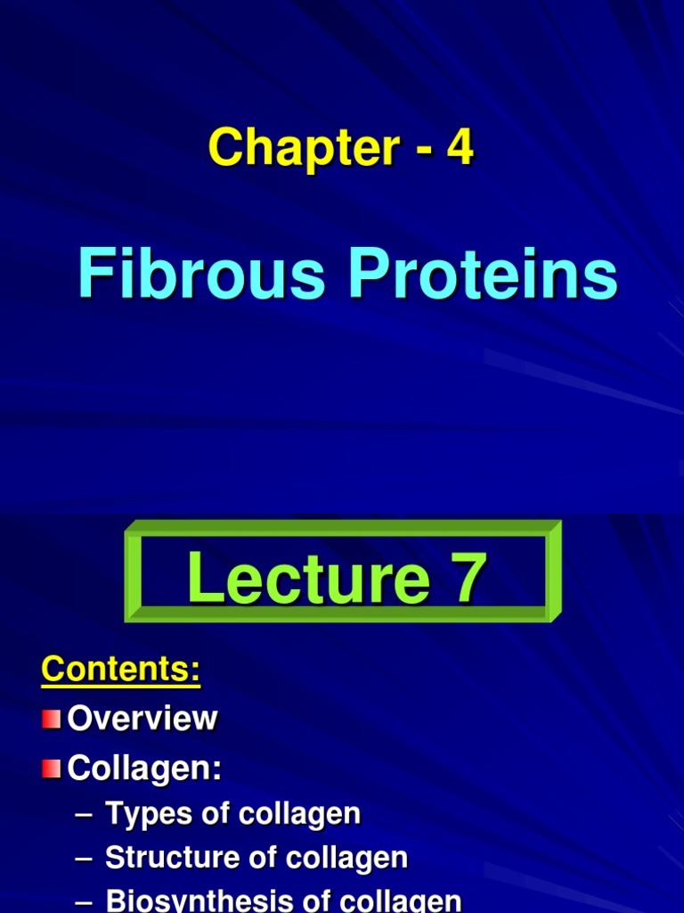 Fibrous Proteins - 3 Lecture (7-9) - Ppt- Chapter 4 (1) | Collagen ...