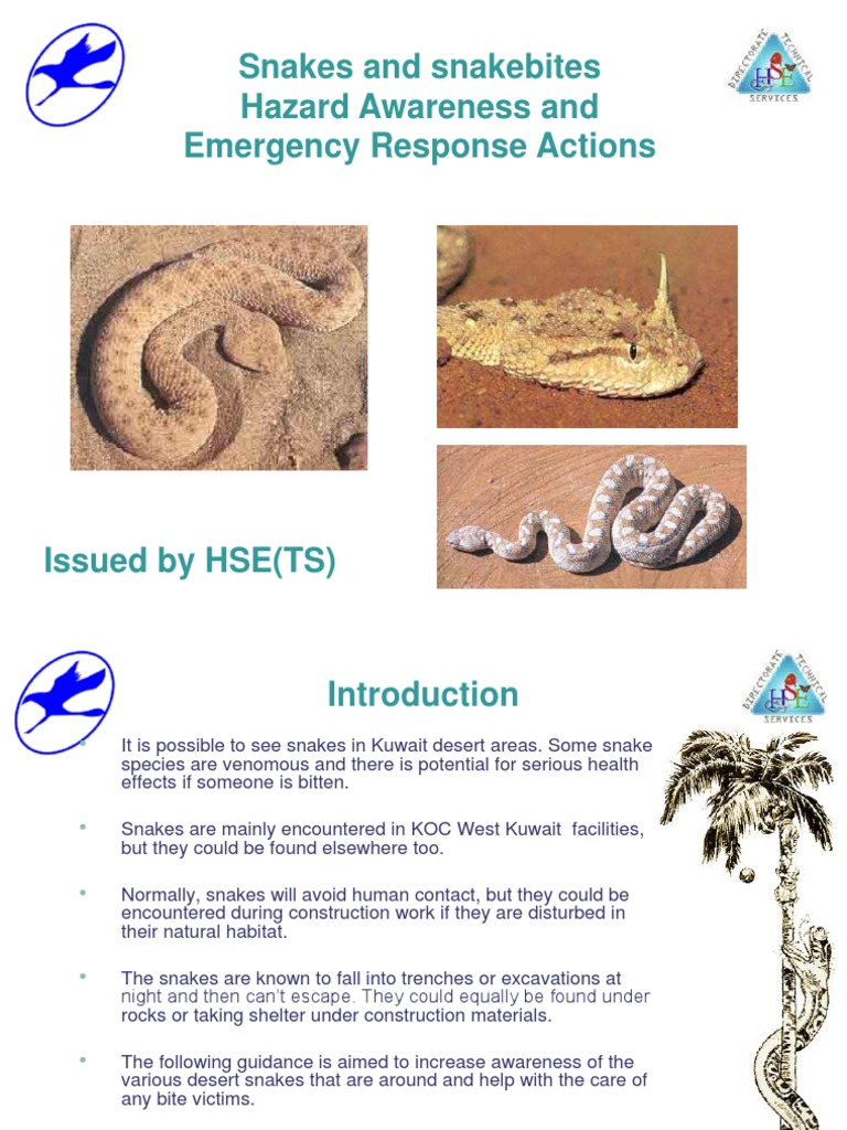 Hazard Awareness - Snakes | PDF | Snake | Venom