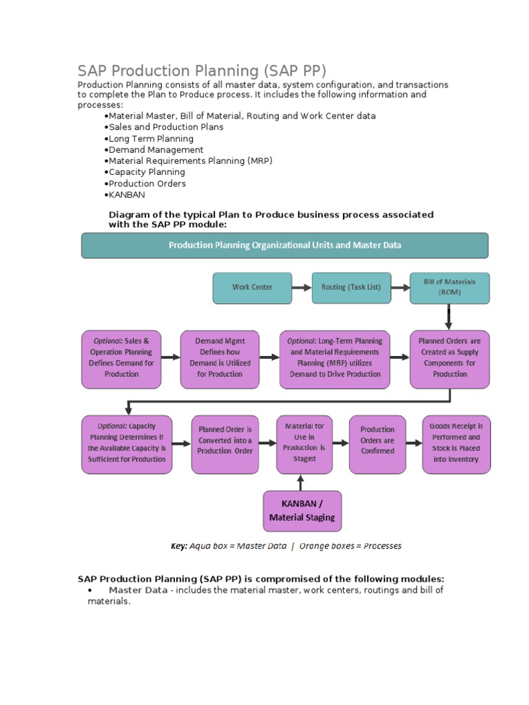 SAP Production Planning Life Cycle | Economic Sectors | Systems Science