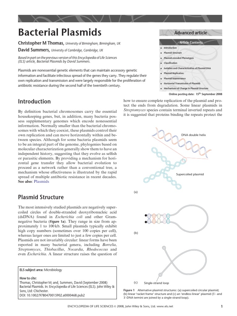 Bacterial Plasmids | PDF | Plasmid | Gene