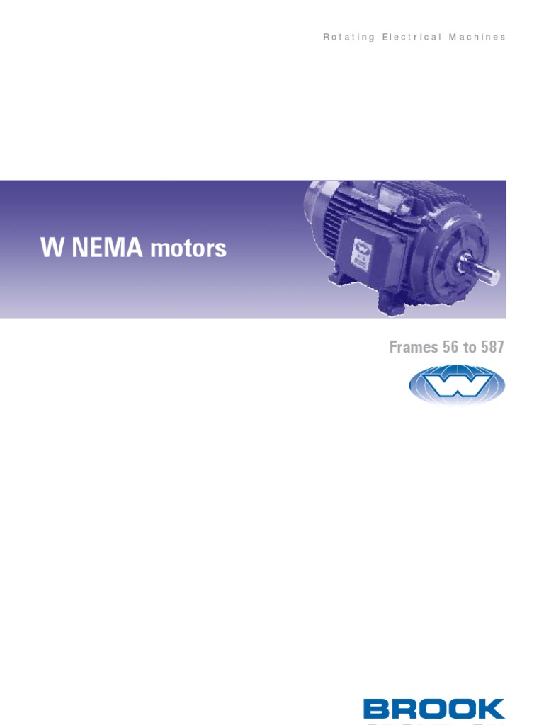Brook Motors | PDF | Electrical Engineering | Electromagnetism