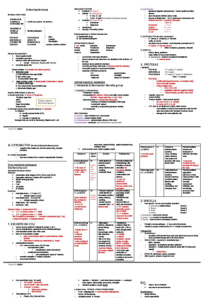 Enterobacteriaceae | PDF | Diarrhea | Escherichia Coli