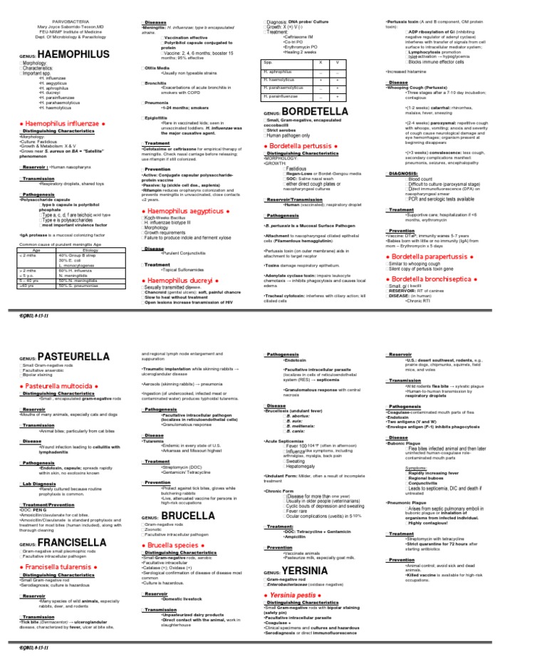 Parvo Bacteria | PDF | Infection | Transmission (Medicine)