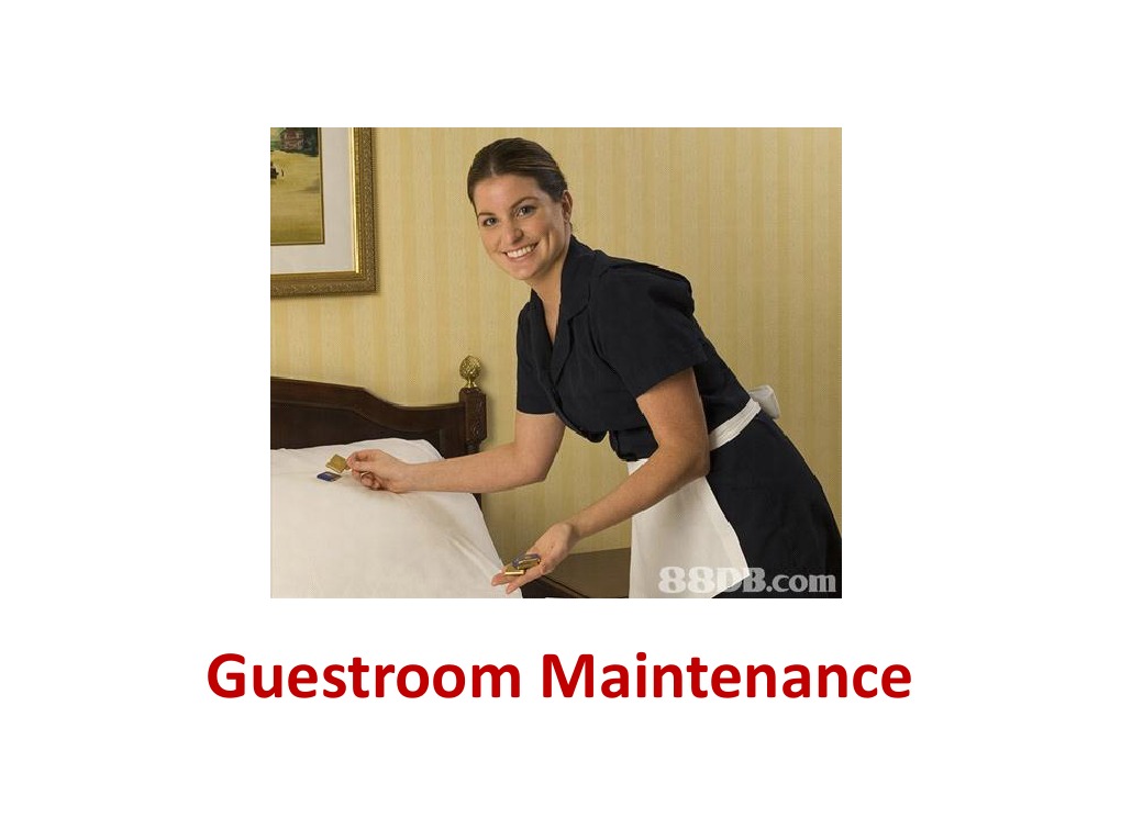 Guestroom Maintenance Procedures Guide | PDF | Toilet | Bathroom