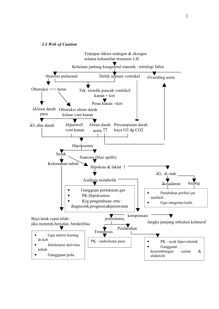 Woc Tof | PDF