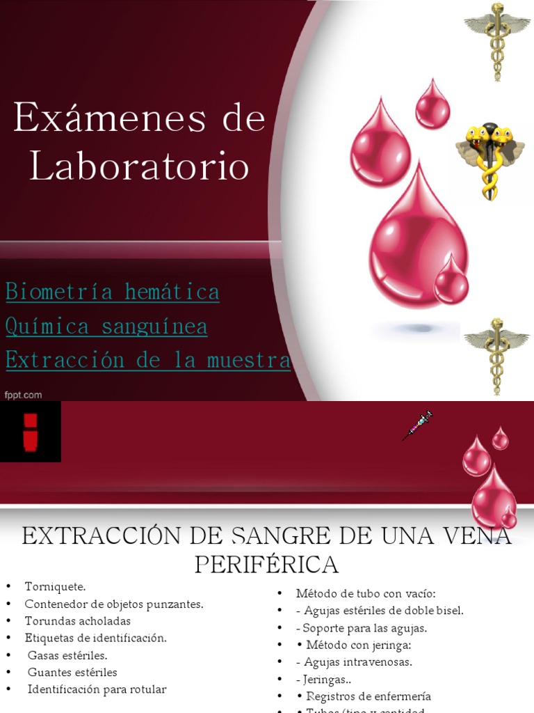 Exámenes de Laboratorio (BH, Qumica Sang.) | PDF | Glóbulo rojo | Sangre