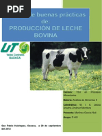 Sistema de Producción de Leche en Granjas Bovinas Familiares | PDF | Vacas | Leche