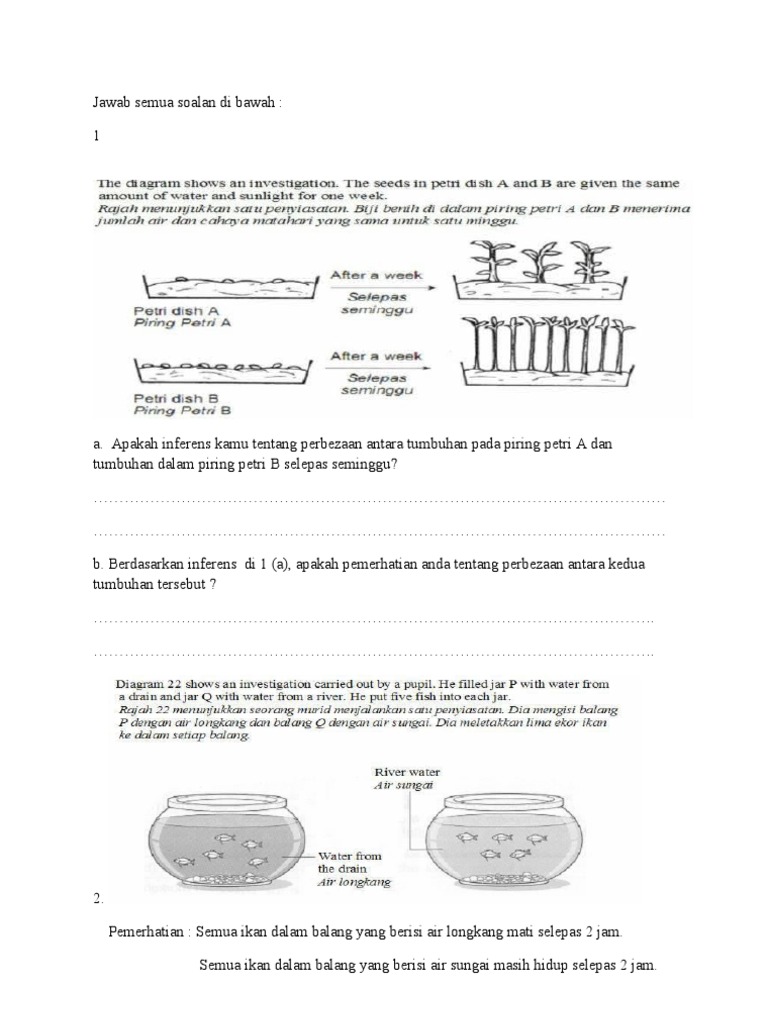 Soalan Pemerhatian dan Inferens Sains | PDF | Griya & Taman | Sains ...