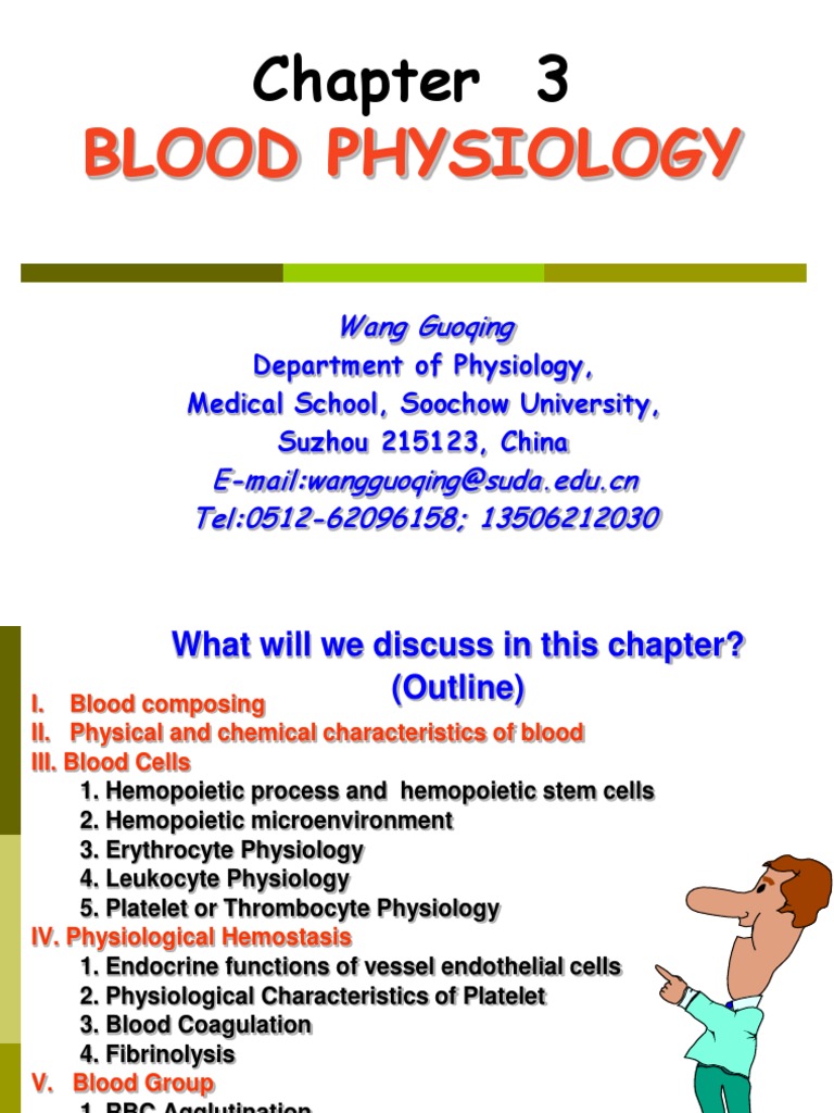 Blood Physiology | PDF