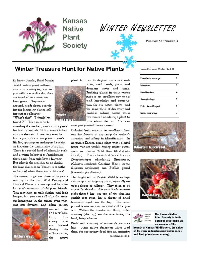 Winter Plant Identification Guide | PDF | Kansas | Botany