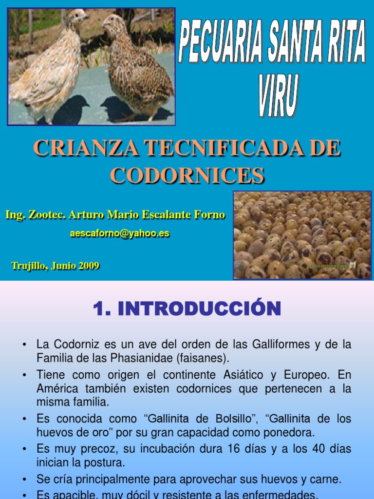 Crianza de Codornices | PDF | Huevo como alimento | Carne
