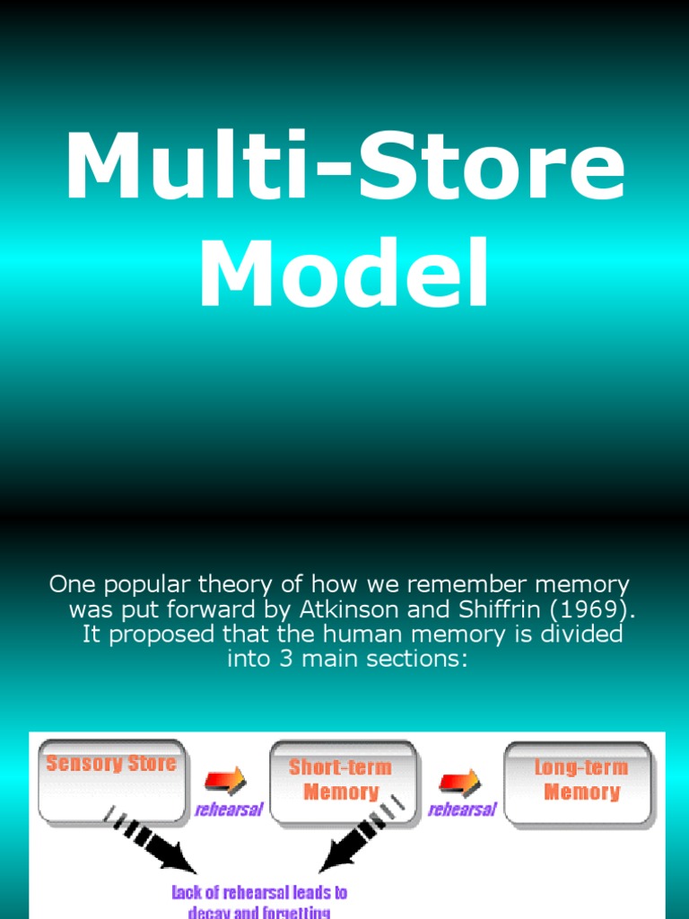 Multi Store Model | PDF | Memory | Long Term Memory