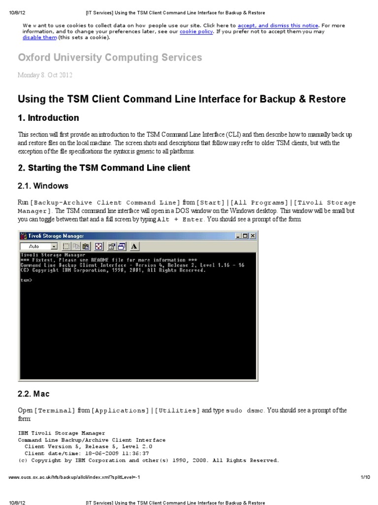 Using the TSM Client Command Line Interface for Backup & Restore | Command Line Interface ...