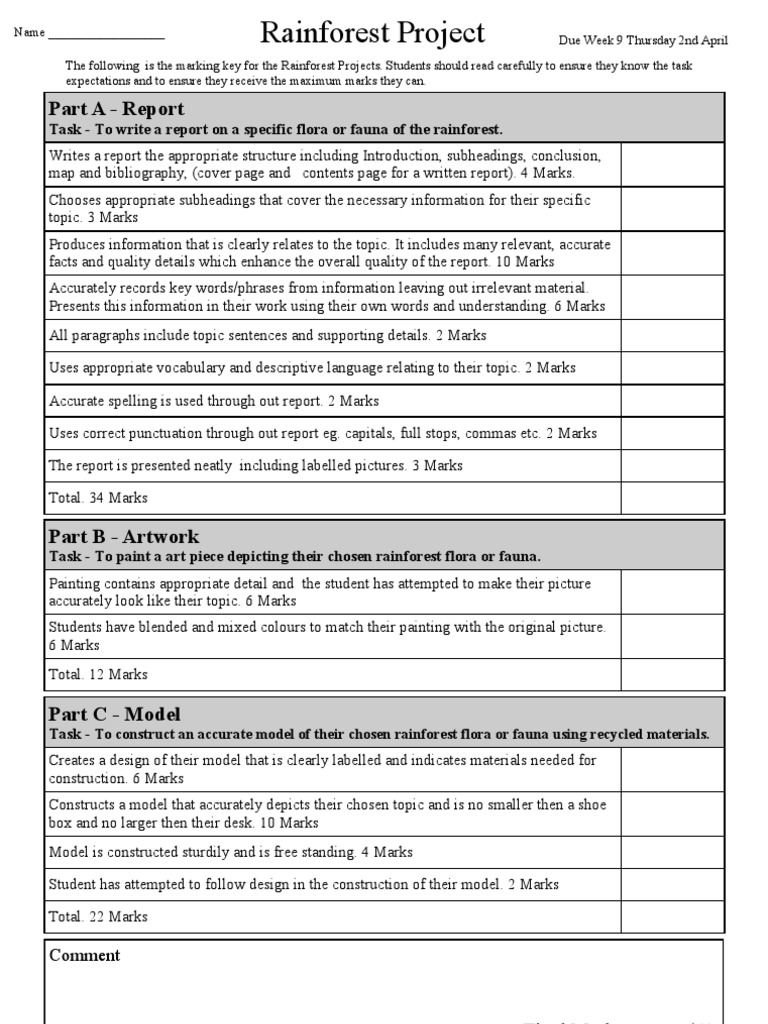 Rainforest Project Guidelines | PDF | Art