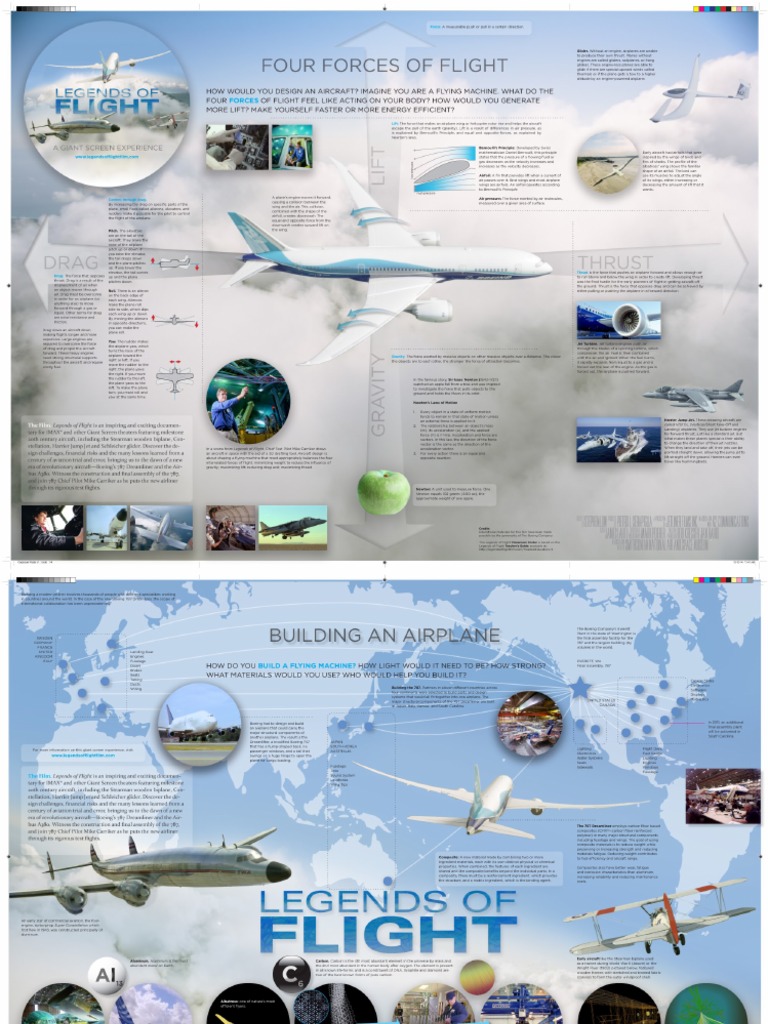 Four Forces of Flight Poster