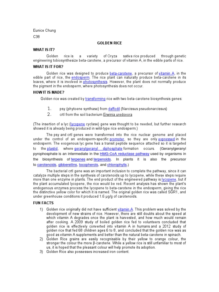 Golden Rice | PDF | Biochemistry | Chemistry