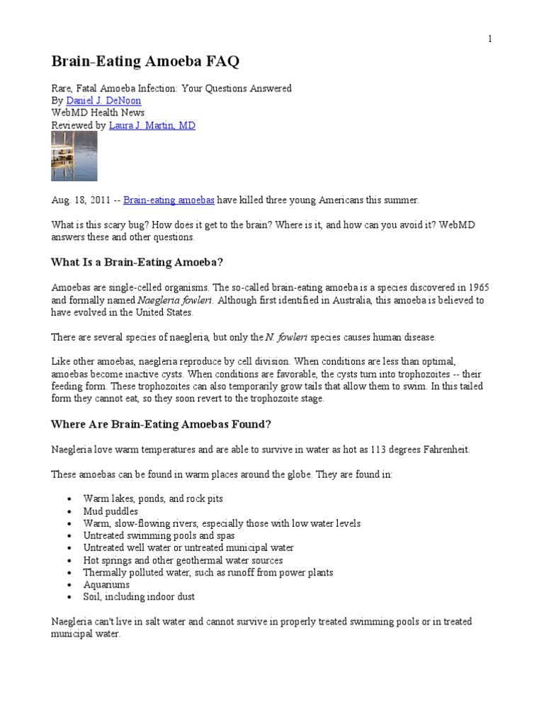 Brain Eating Amoeba | PDF | Medical Specialties | Biology