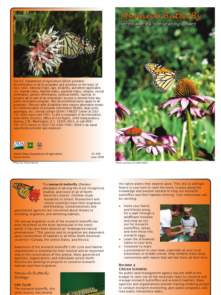 Monarch Butterfly | PDF | Butterfly | Conservation Biology