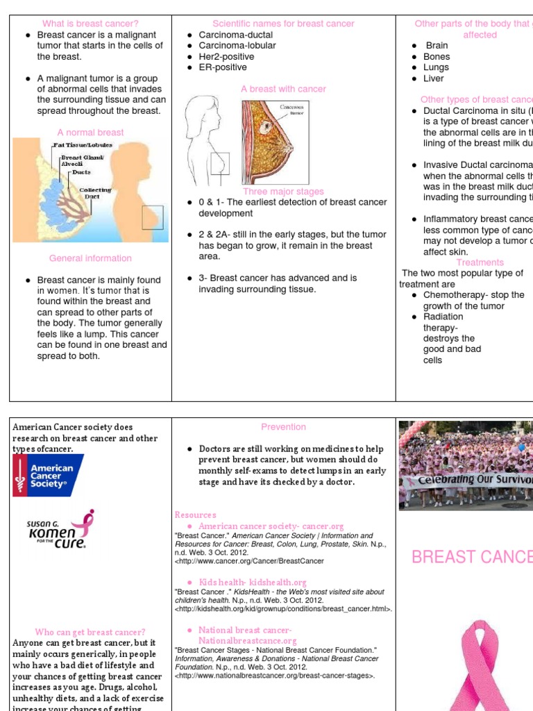 Breast Cancer Awareness Brochure | PDF | Breast Cancer | Cancer
