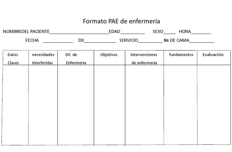 Formato de PAE | PDF