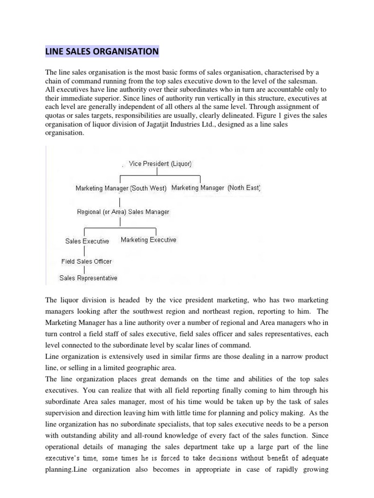 Line Sales Organisation | PDF | Sales | Marketing