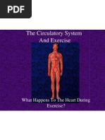 Virginia M. Axline - Play Therapy-Ballantine Books (1981) PDF | PDF