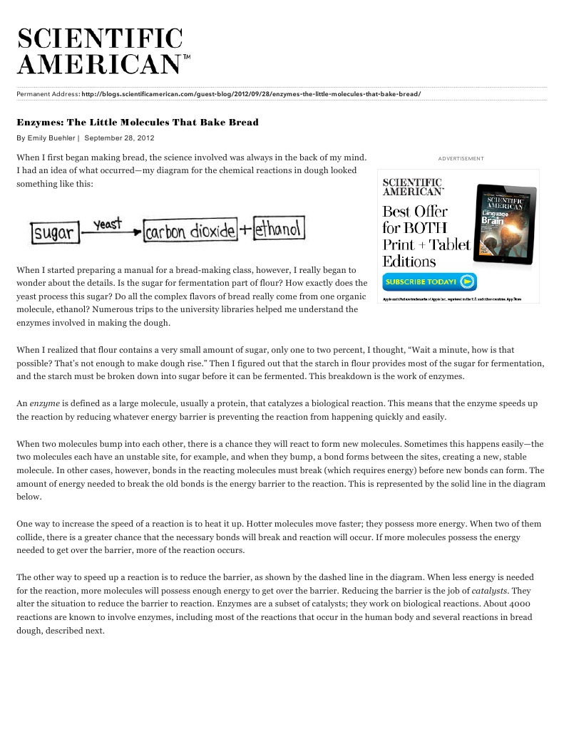 Enzymes The Little Molecules That Bake Bread Guest Blog Scientific ...