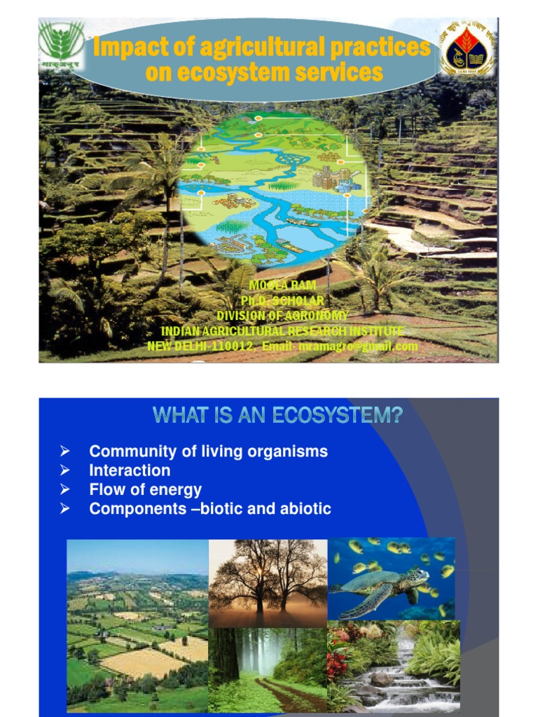 Impact of Agricultural Practices On Ecosystem Services | PDF ...