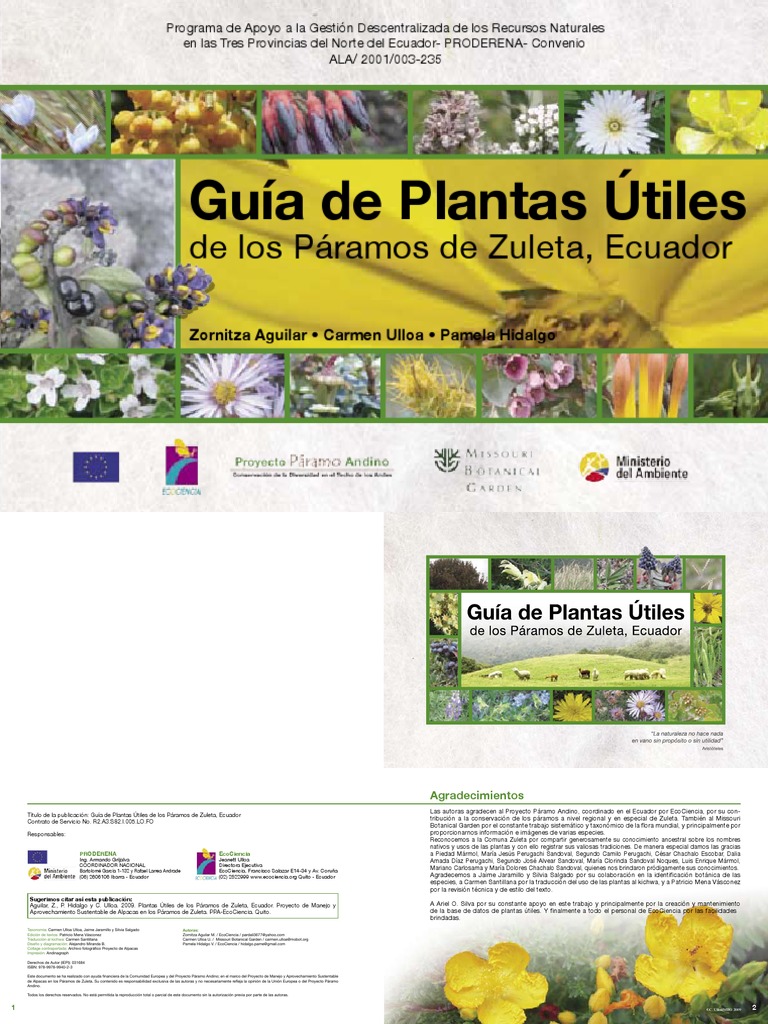 Guia de Plantas de Altura | PDF | Tallo de la planta | Arboles