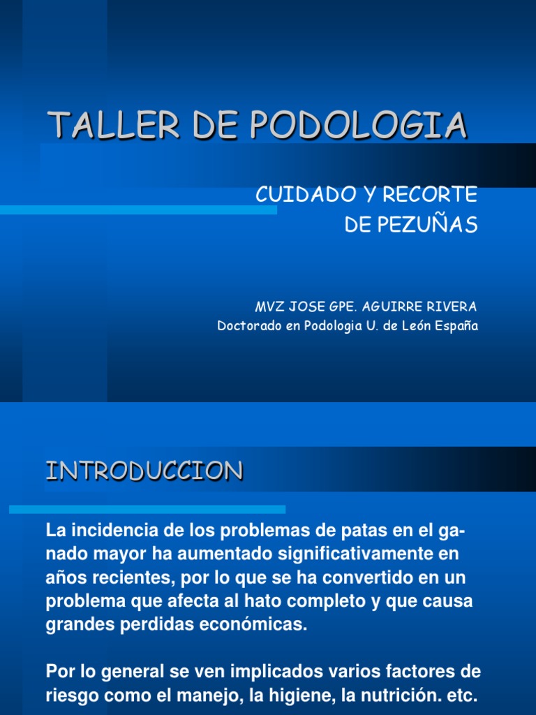 Taller de Podologia | PDF | Infección | Las bacterias