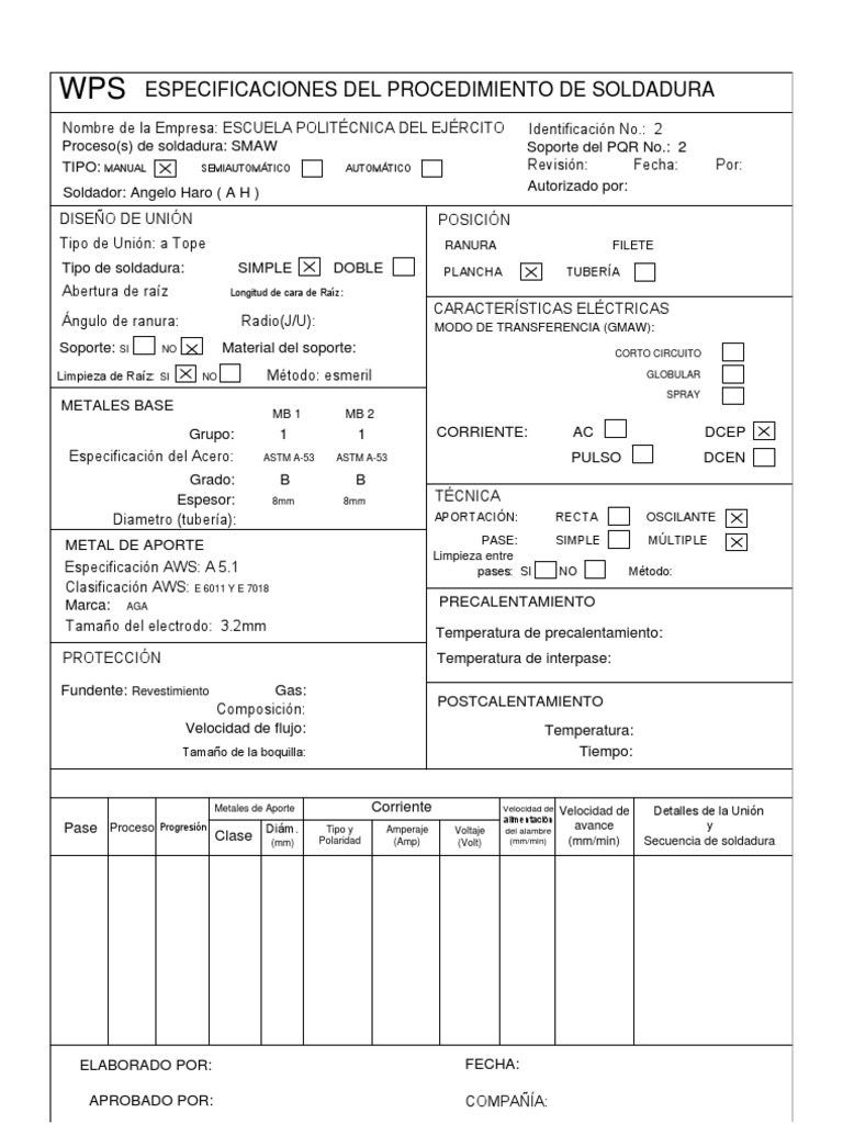 Formato WPS Model | PDF
