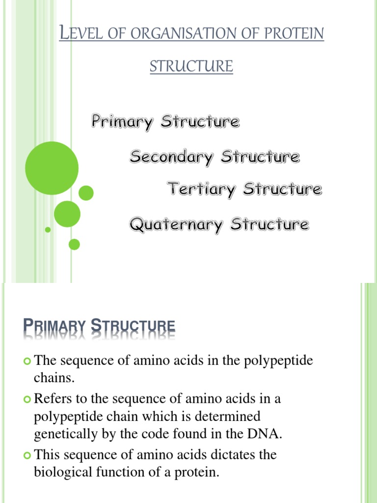 Level of Organisation of Protein Structure | Download Free PDF ...