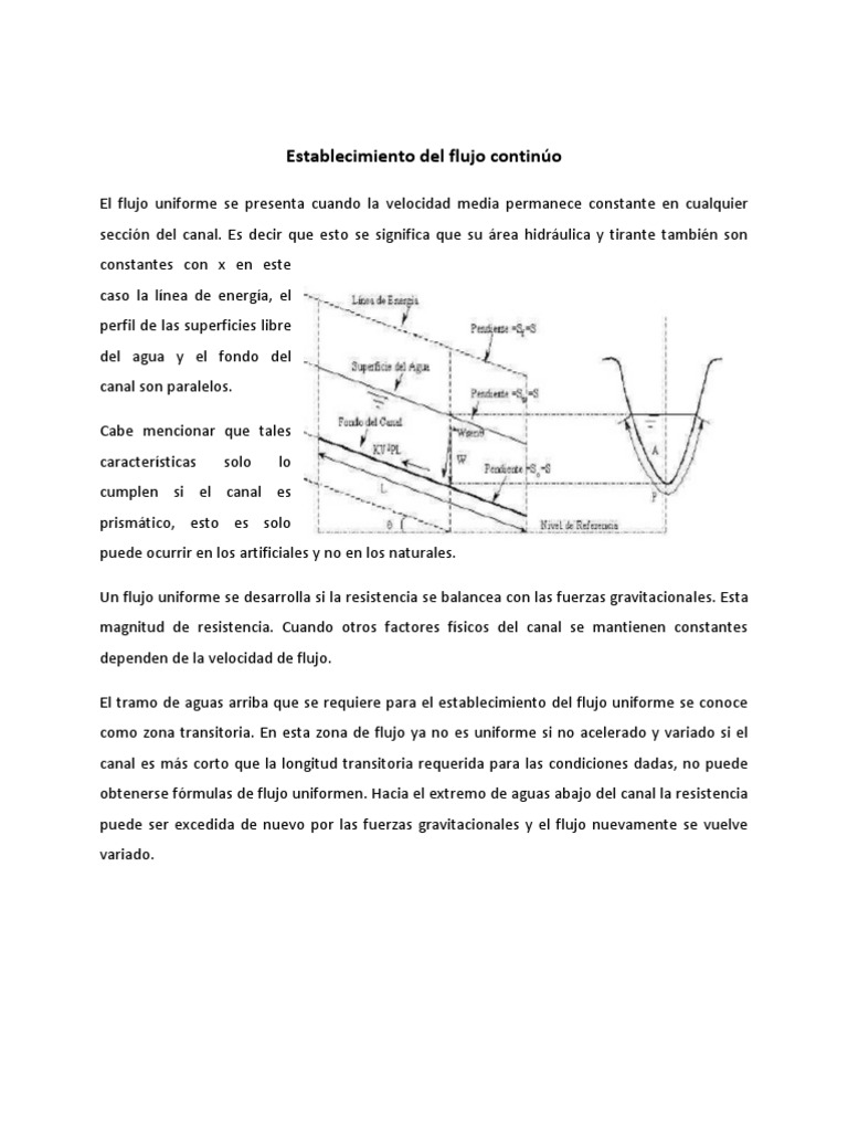 Establecimiento Del Flujo Continúo | PDF