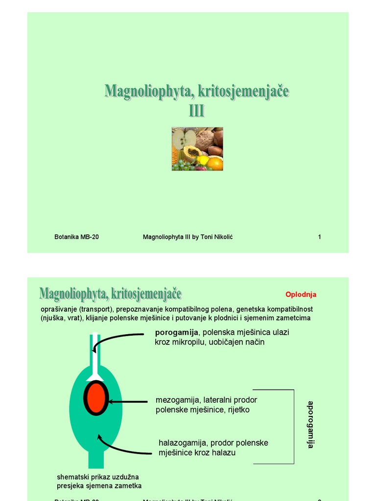 Biologija, Sjemenka. | PDF