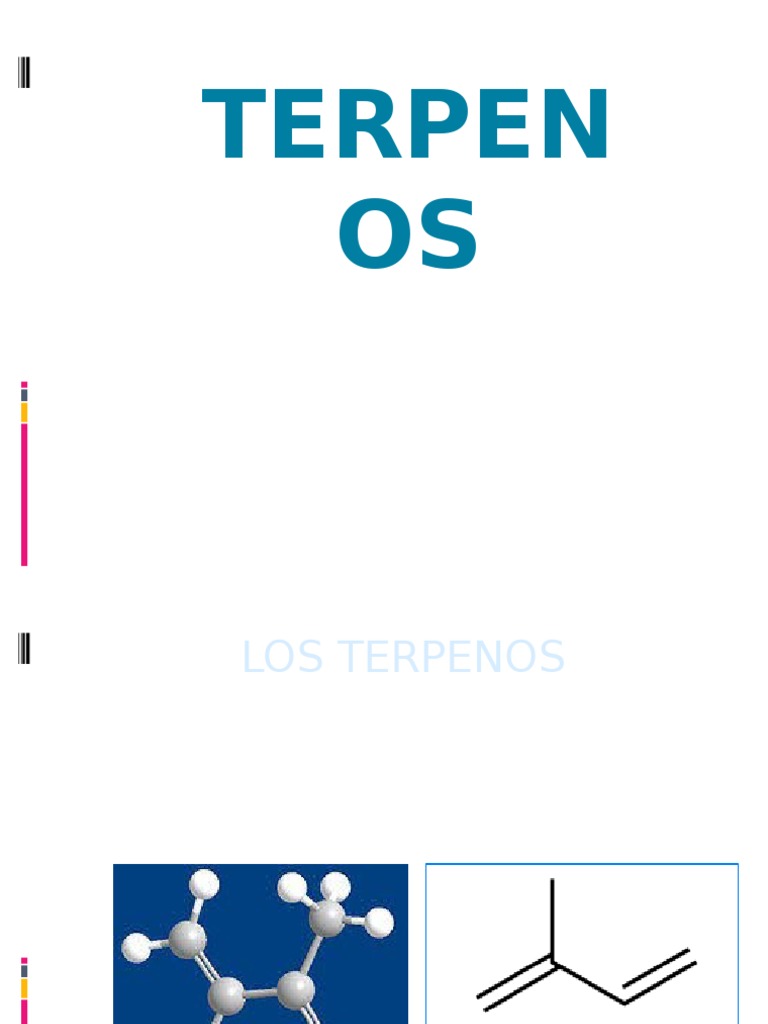 Análisis De Los Terpenos Estructura Biosíntesis Clasificación Y