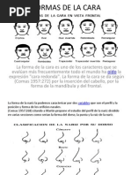 Clasificación de narices por etnia | PDF