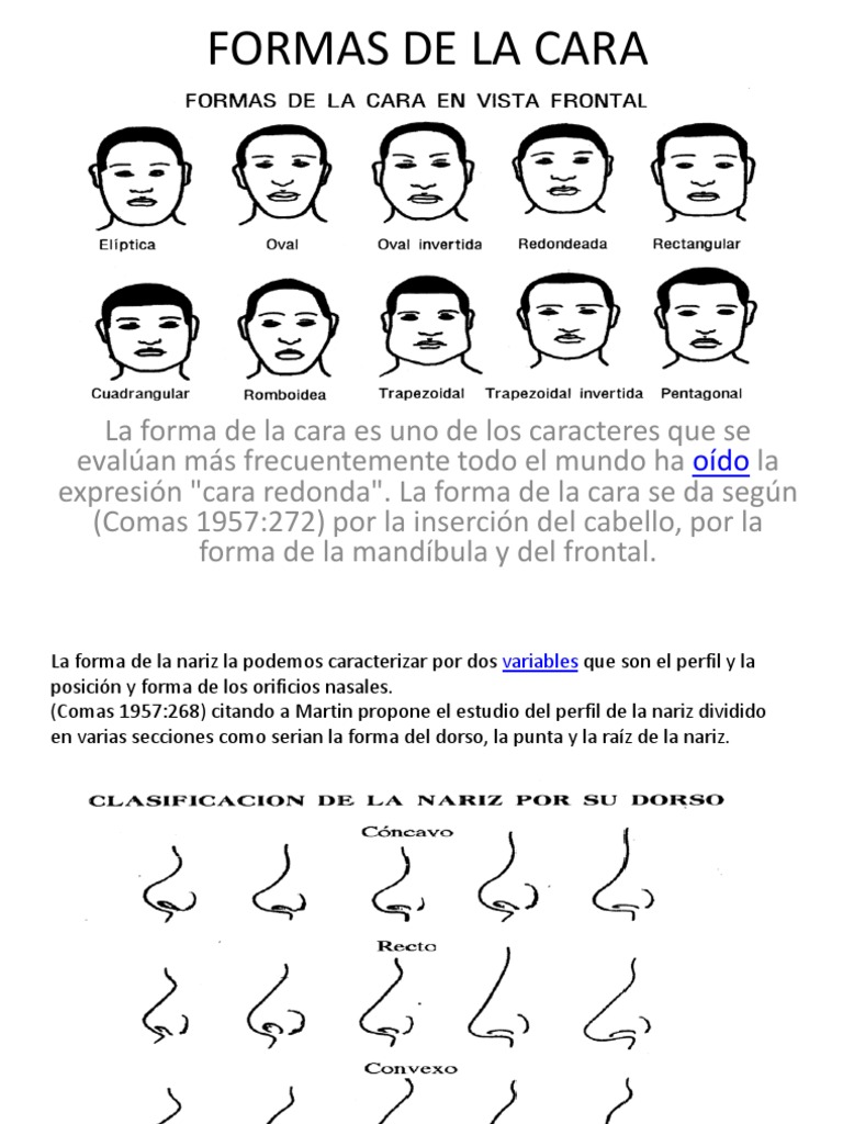 Formas de La Cara | PDF | Continente | Américas