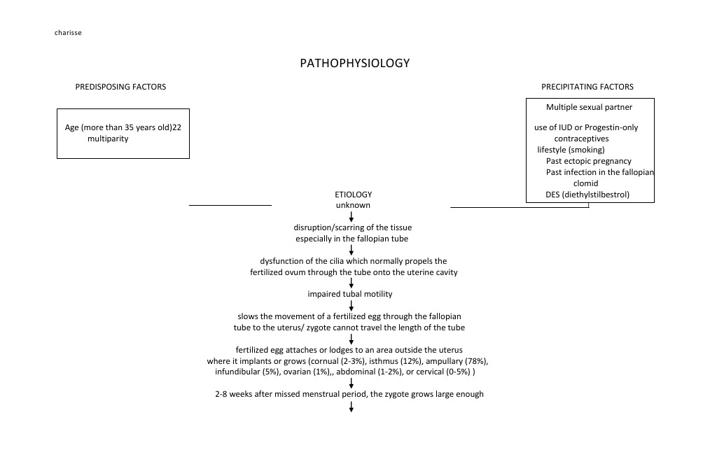 Ectopic Pregnancy Pathophysiology Overview | PDF | Science & Mathematics