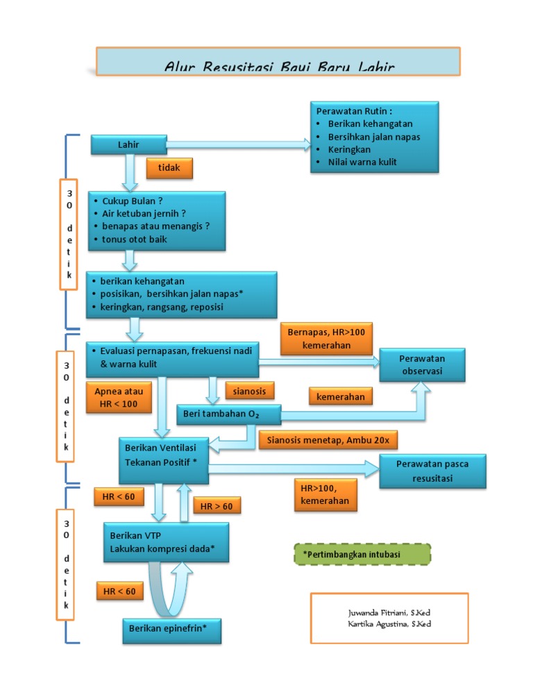 Alur Resusitasi Bayi Baru Lahir | PDF
