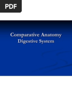 Triadan Tooth Numbering System | PDF