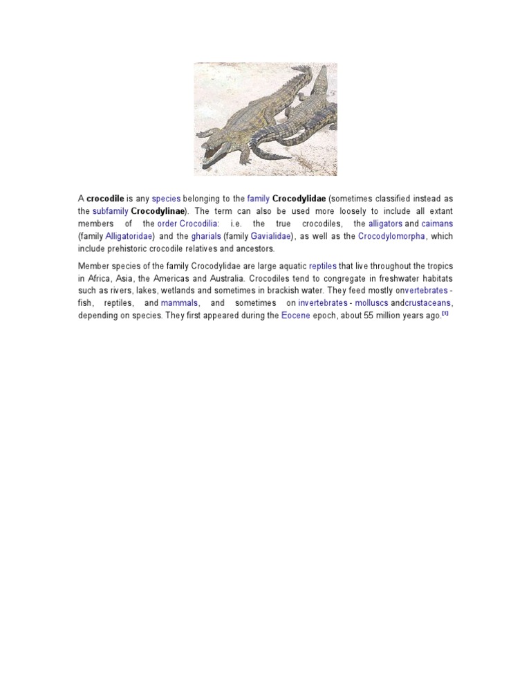 Overview of Crocodylidae Family | PDF | Home & Garden