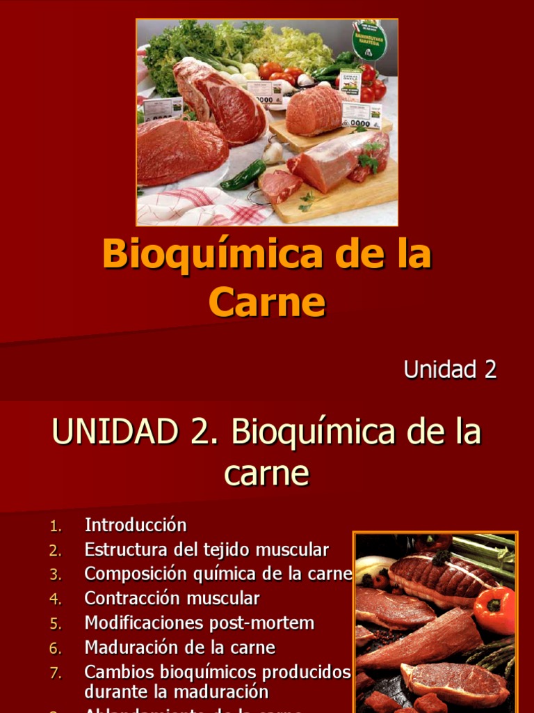 Bioquimica de La Carne | PDF | Actina | Músculo