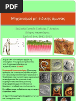 TO ΟΥΡΟΠΟΙΗΤΙΚΟ ΣΥΣΤΗΜΑ-ΑΝΑΤΟΜΙΑ | PDF