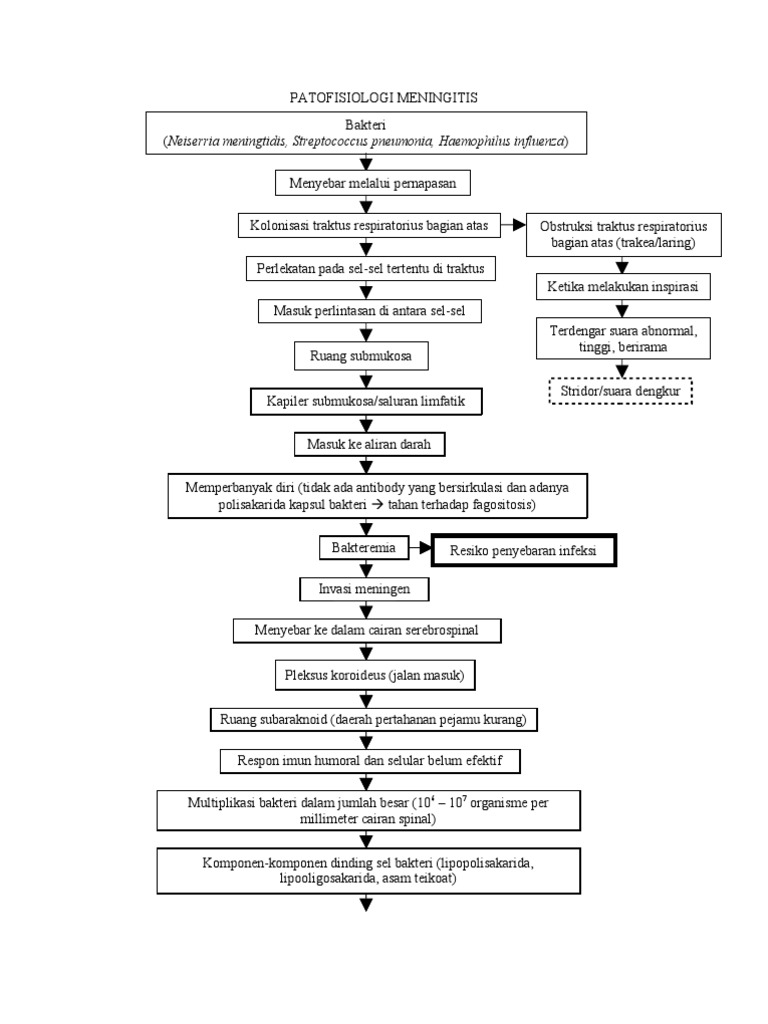 Pathway Meningitis | PDF