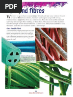 Forensic Hair and Fiber Evidence Guide | PDF | Crime Scene | Hair