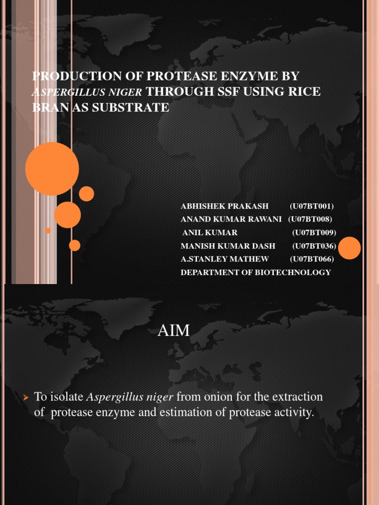 Production of Protease Enzyme by Aspergillus Niger Through | PDF ...