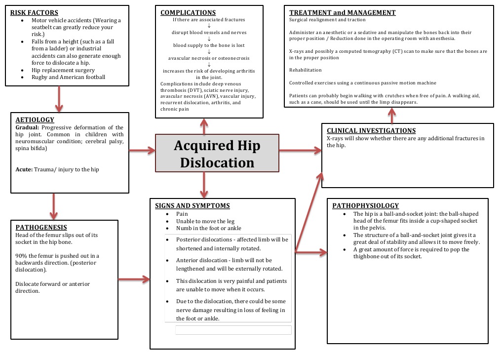 Hip Dislocation: Causes, Symptoms, Treatment | PDF