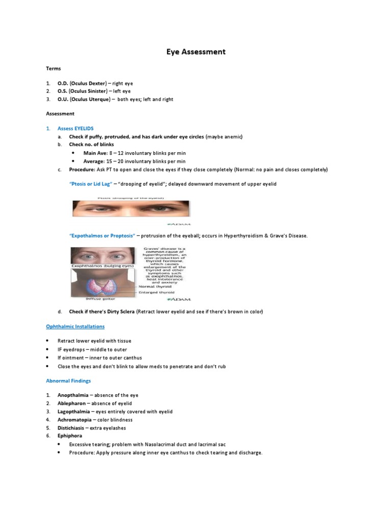 Eye Assessment | Download Free PDF | Visual Acuity | Human Eye