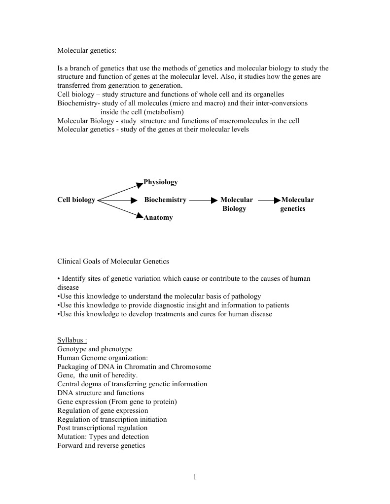 1 Molecular Genetics | PDF | Chromosome | Genetics